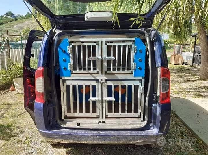 kennel per auto - Accessori per animali In vendita a Asti