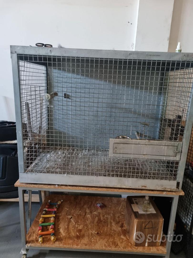 voliera - Accessori per animali In vendita a Lecce