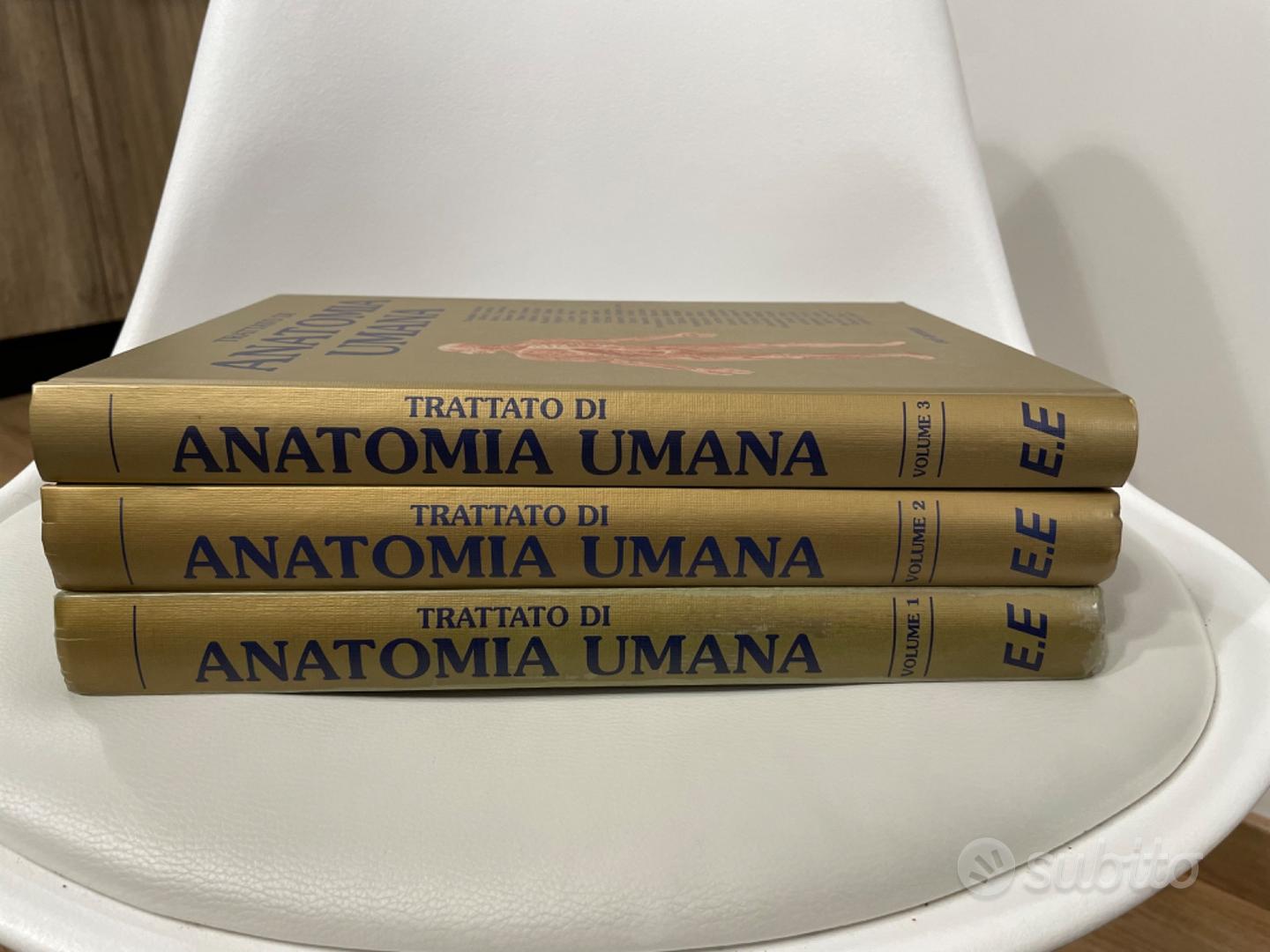Trattato di anatomia umana edizione edi-ermes - Libri e Riviste In ...