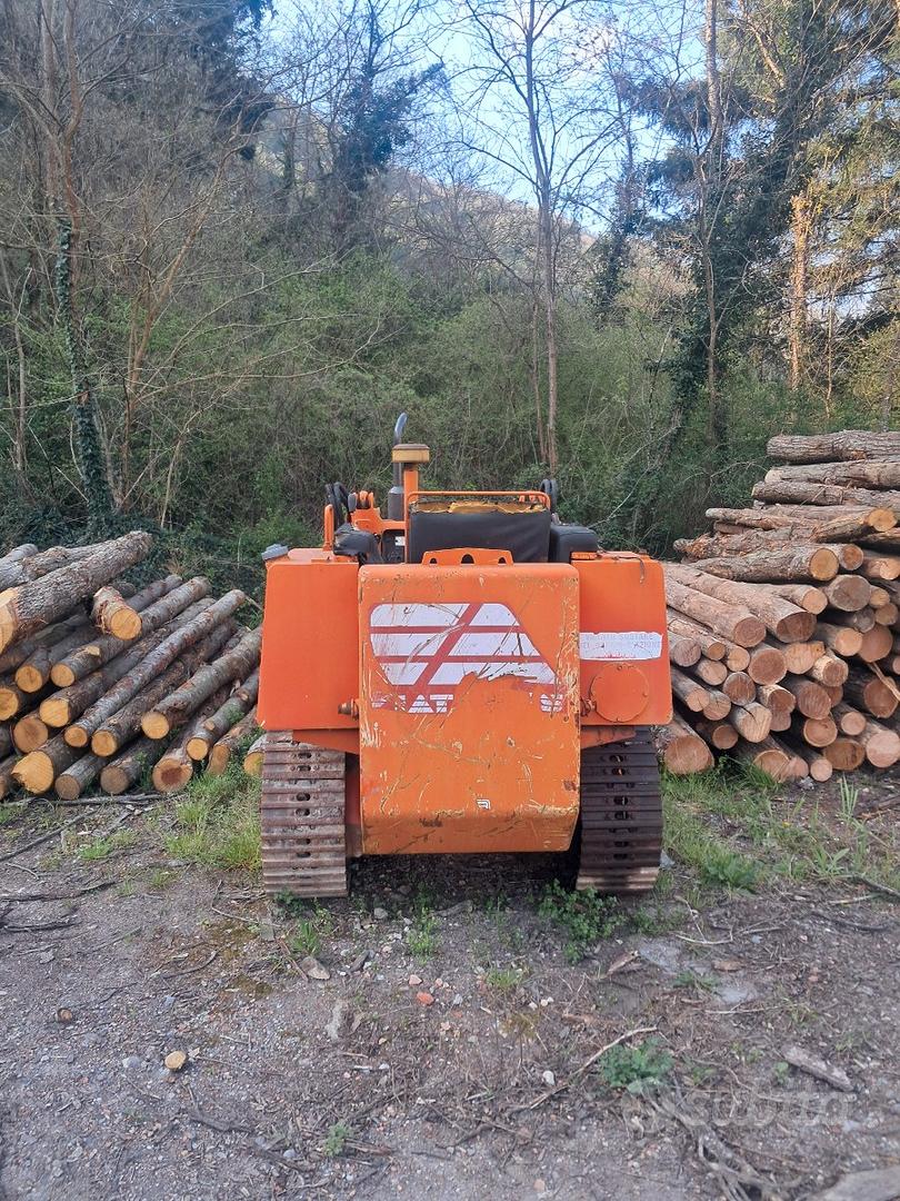 Pala meccanica cingolata Fiat Allis FL4 - Veicoli commerciali In ...