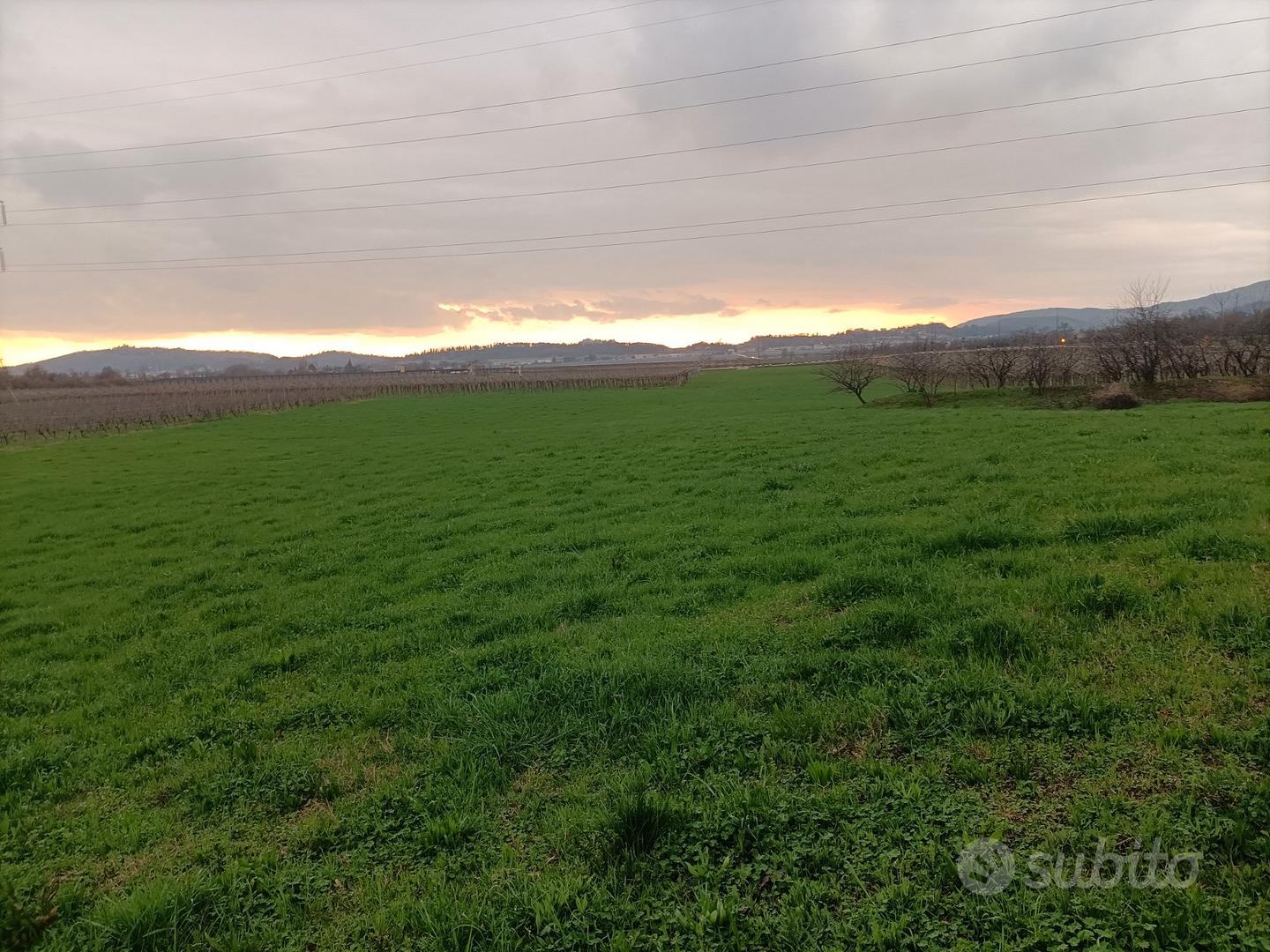 Terreno agricolo coltivato a prato 11.000 metri - Terreni e rustici In ...