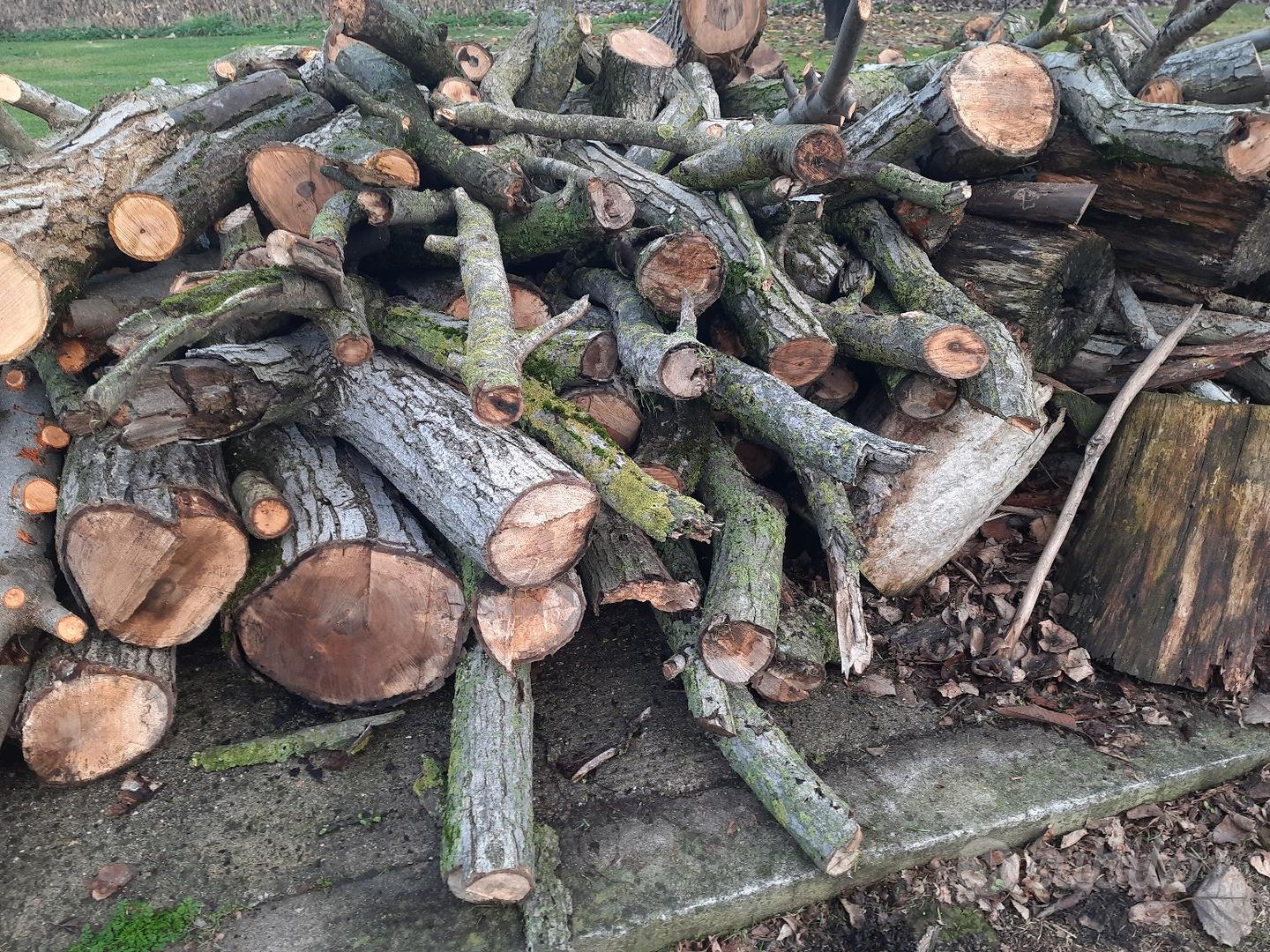 legna da ardere alta qualità (noce) - Giardino e Fai da te In vendita a ...