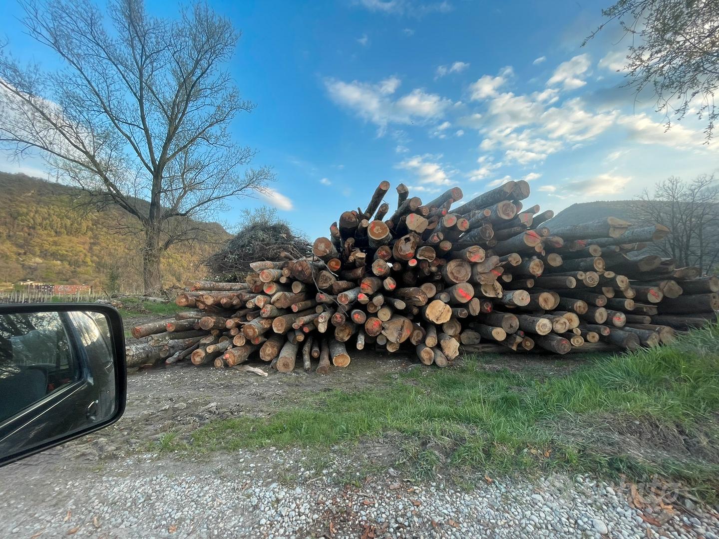 Legna da ardere - Giardino e Fai da te In vendita a Belluno