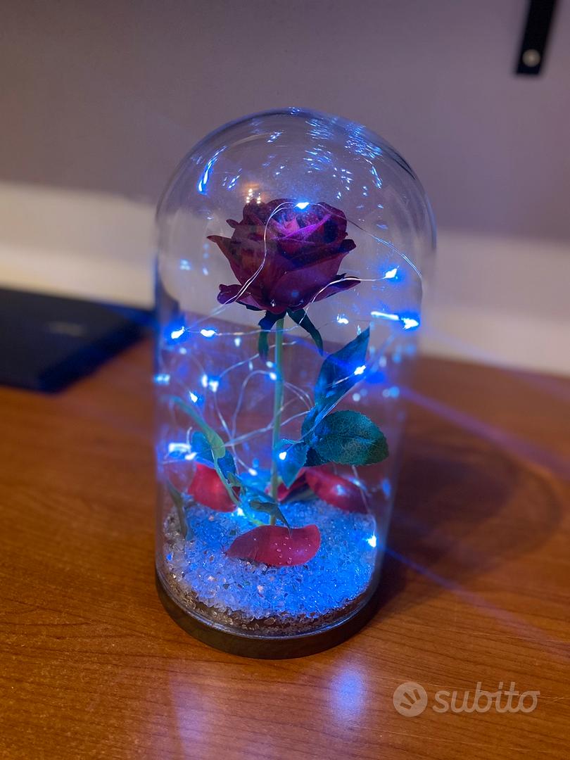 Rosa luminosa. - Giardino e Fai da te In vendita a Asti