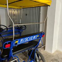 Riscio - Fantastiche offerte di Biciclette - Subito.it