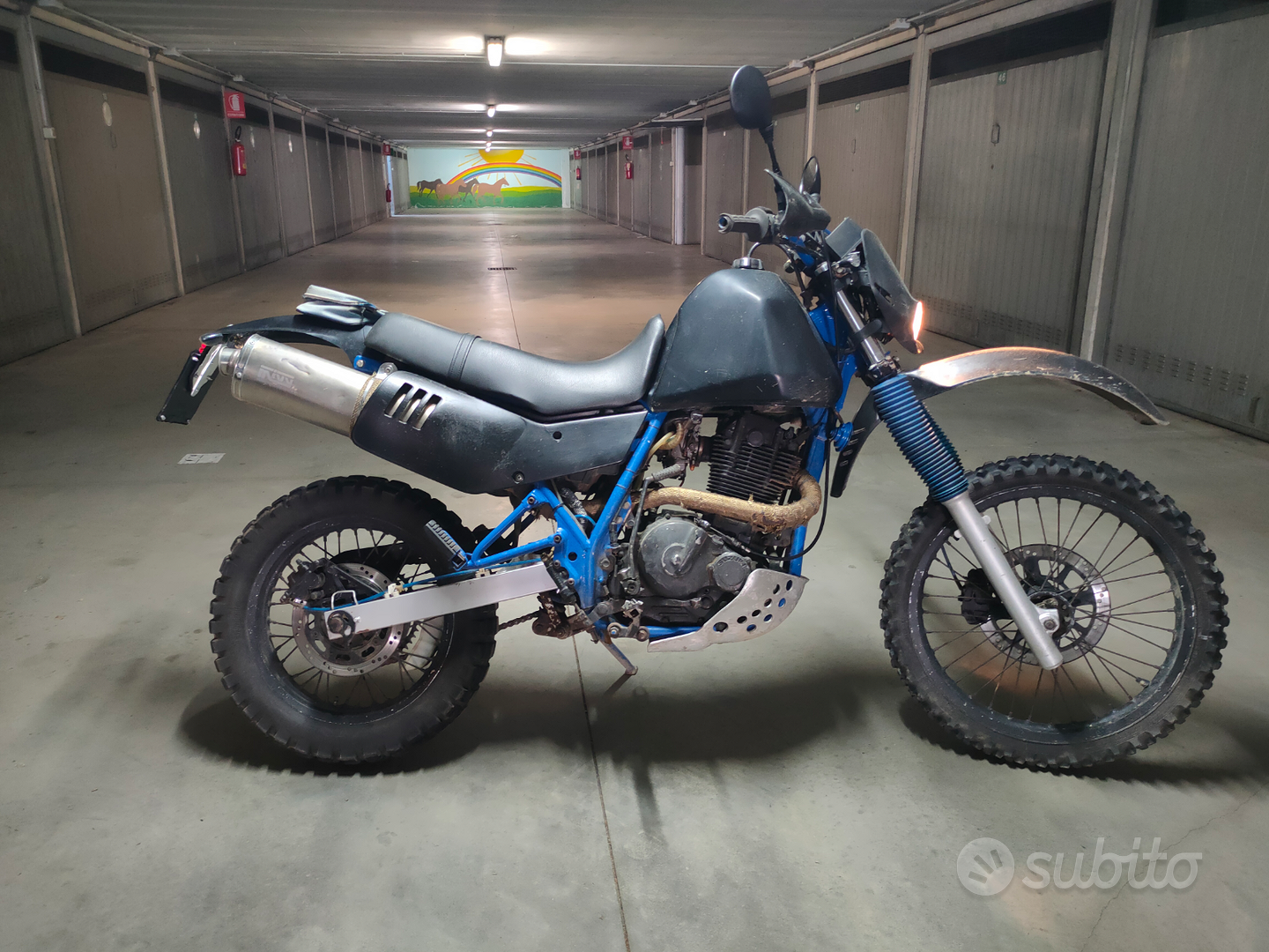 Suzuki DR 650 DJEBEL(SP41A) - Moto e Scooter In vendita a Novara