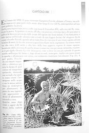 Homo Saurus di Sebastiano Di Gennaro - Libri e Riviste In vendita a Rovigo