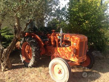 Trattore d'epoca fiat 25 r - Veicoli commerciali In vendita a Benevento