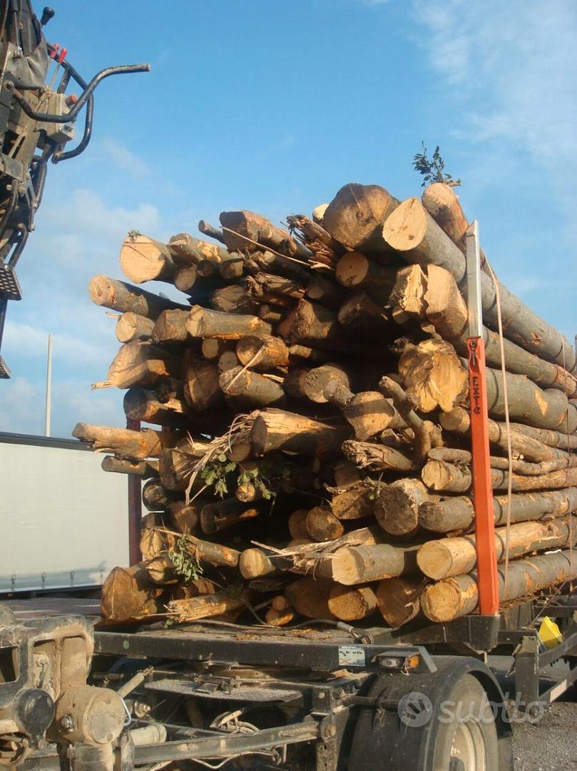 LEGNA ARDERE TRONCO SFUSO METRO FAGGIO ACACIA - Giardino e Fai da te In vendita a Gorizia