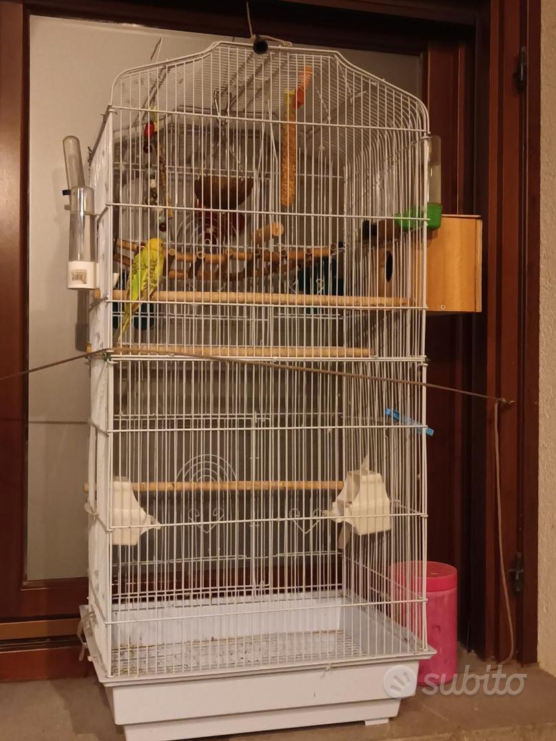 Gabbia per pappagallini - Accessori per animali In vendita a Udine