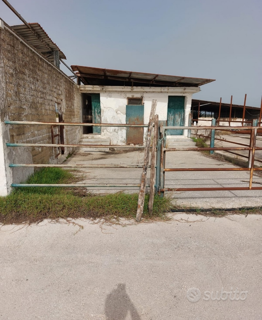 Azienda agricola - Terreni e rustici In vendita a Caserta