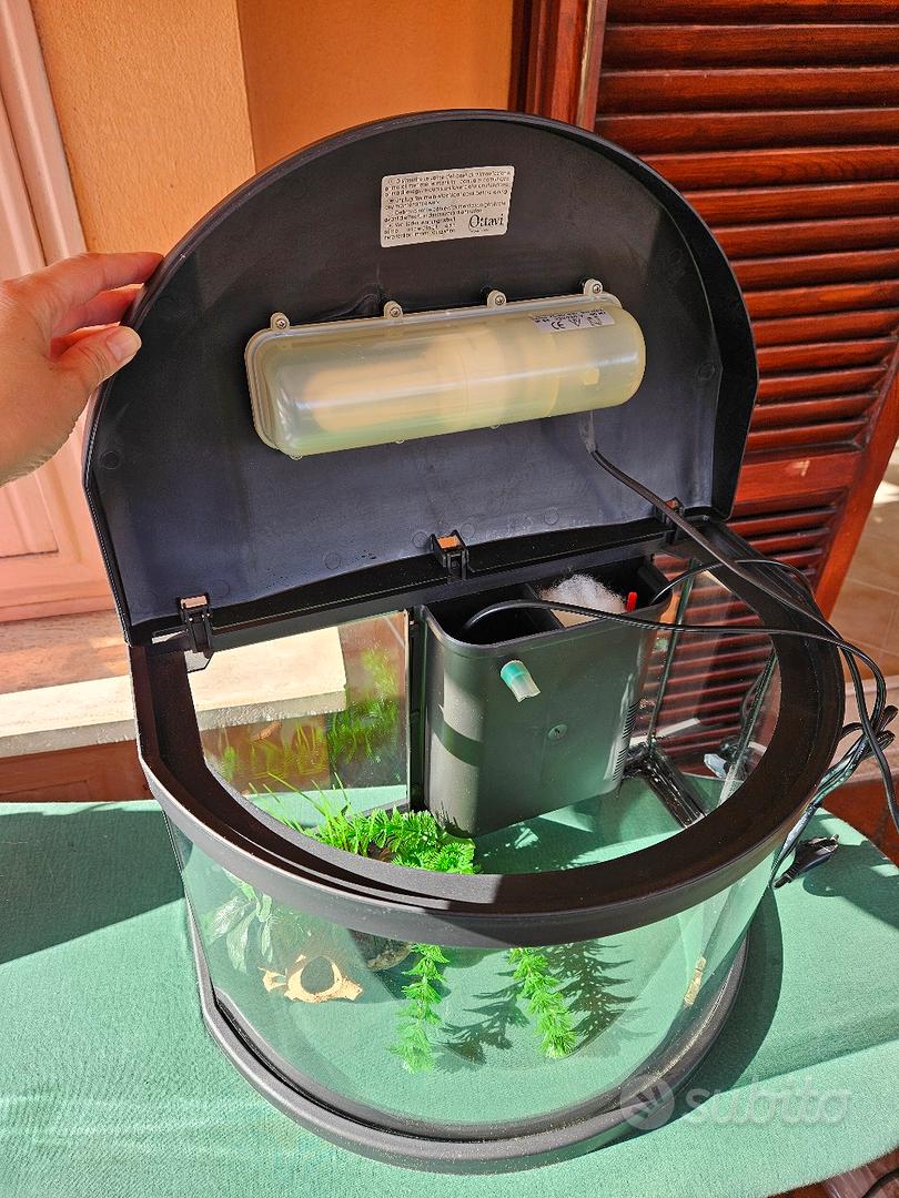 Acquario Malibù Ottavi 20 lt - Accessori per animali In vendita a ...