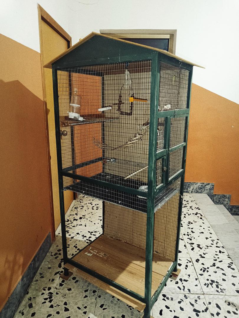 voliera artigianale - Accessori per animali In vendita a Roma