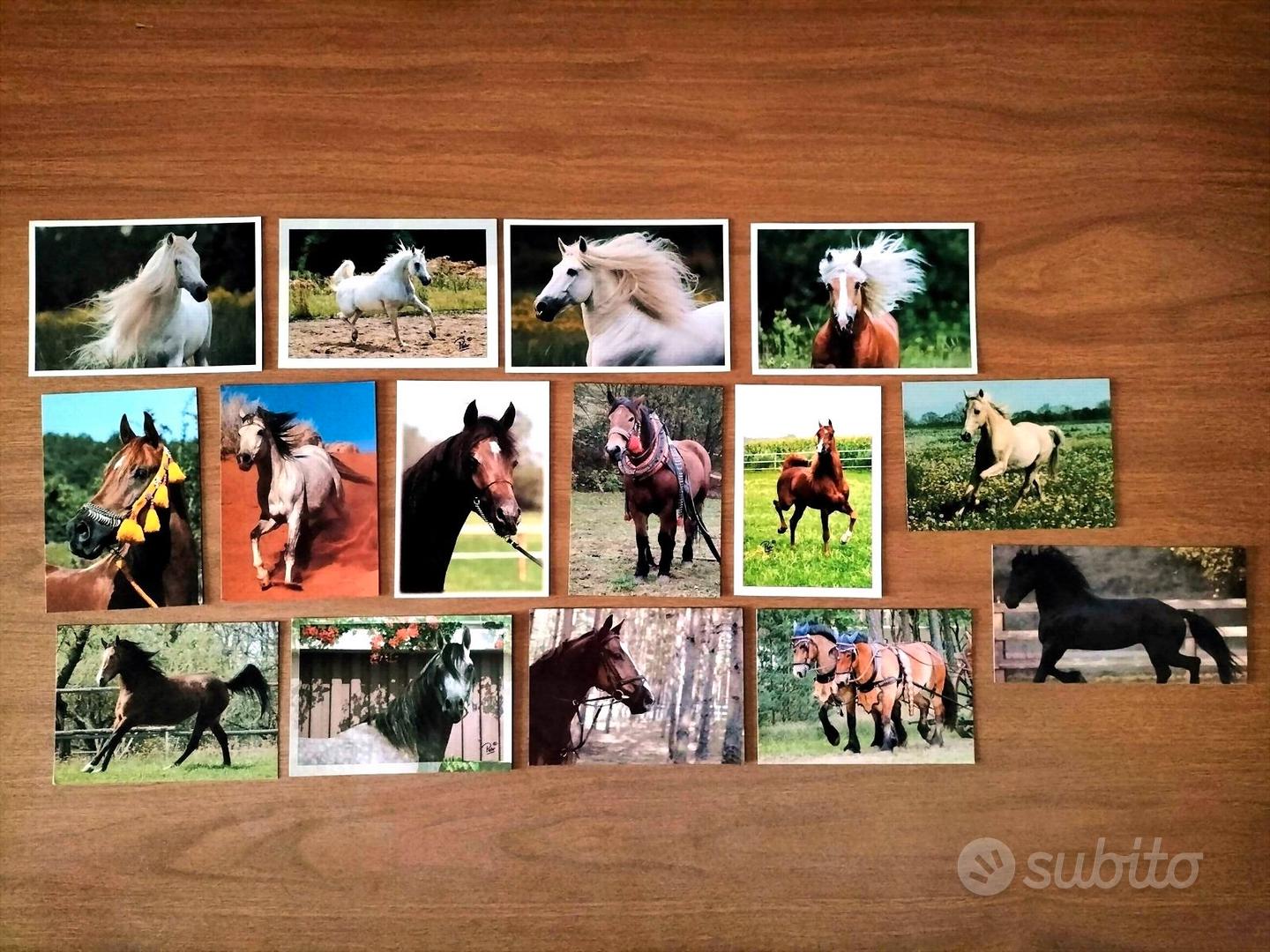 CARTOLINE FOTOGRAFICHE *NUOVE* DA COLLEZIONE - Collezionismo In vendita ...