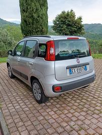 fiat panda 1.2 gpl - Auto In vendita a Pistoia
