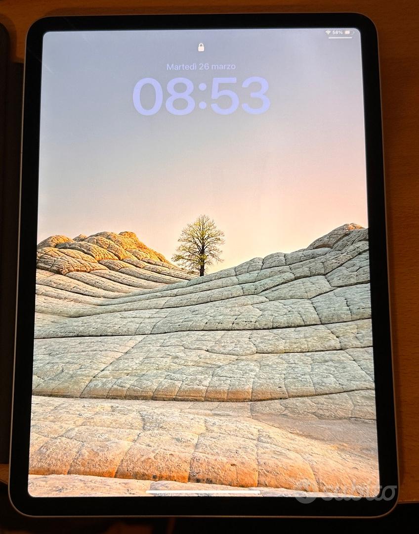 APPLE IPAD PRO 2023 M2pro 11'' 4gen - Informatica In vendita a Milano
