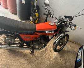 Benelli 2C 250 usata in vendita - Subito.it