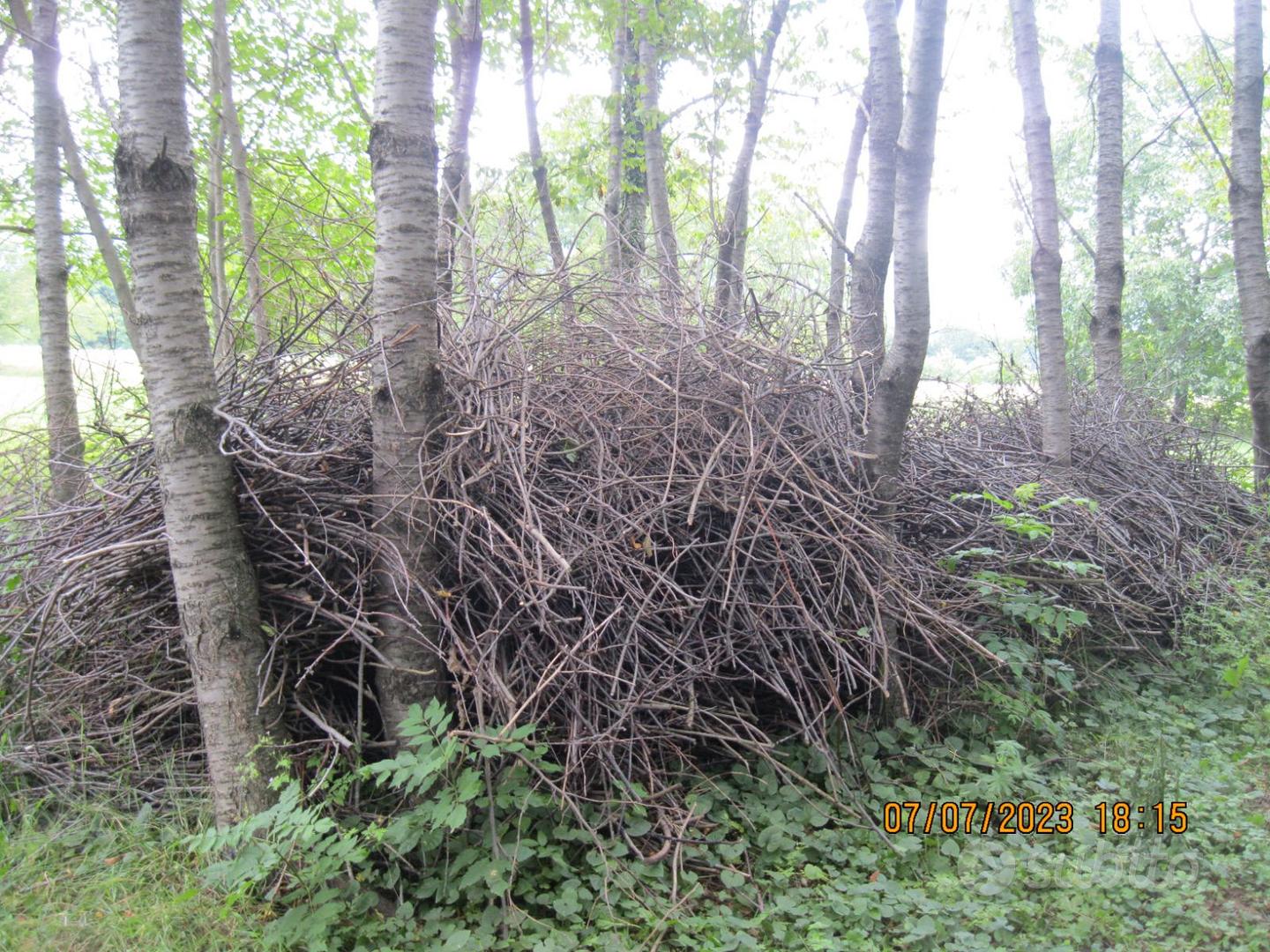 RAMI DI LEGNA SECCA PER FASCINE - Giardino e Fai da te In regalo a Cuneo