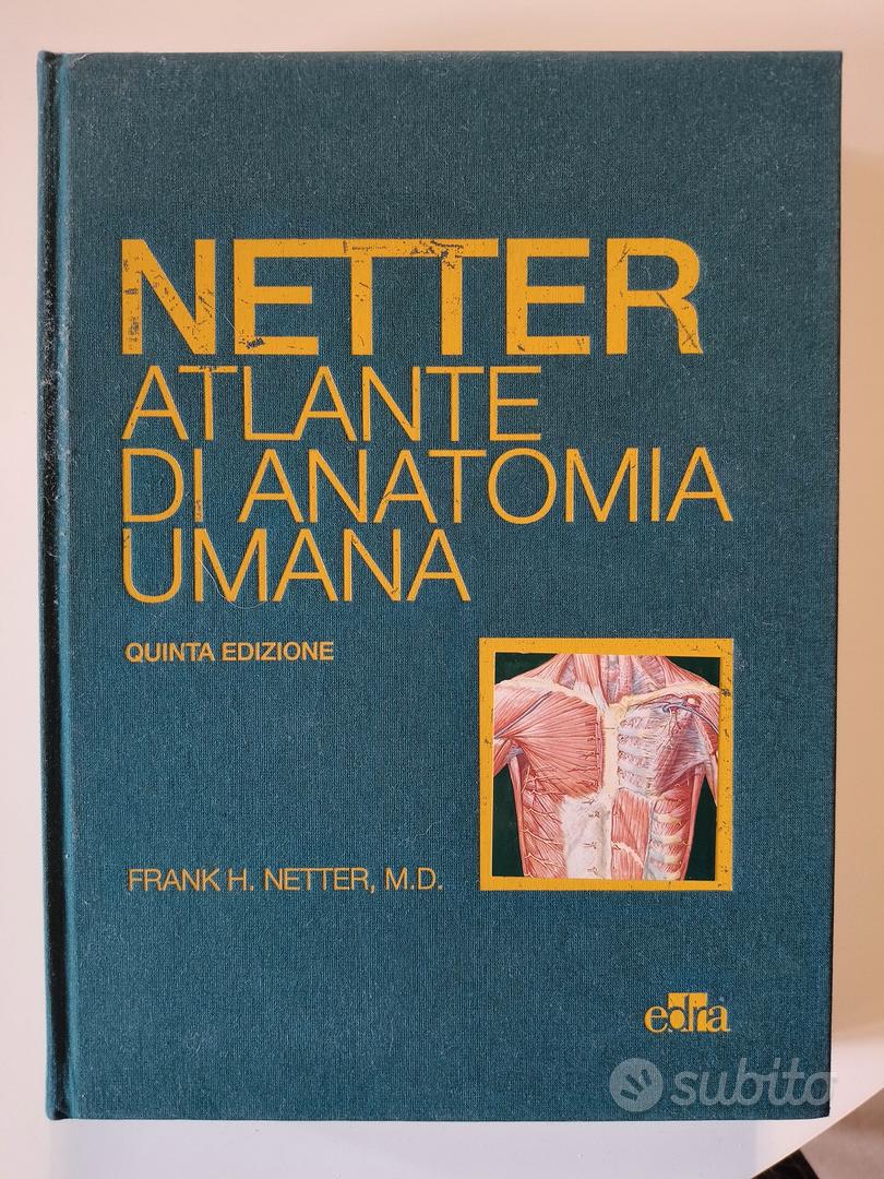 Netter - Atlante di Anatomia Umana - Frank Netter - Libri e Riviste In ...