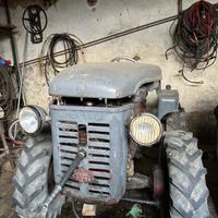 Trattore - Vendita in Veicoli commerciali in Piemonte - Subito.it