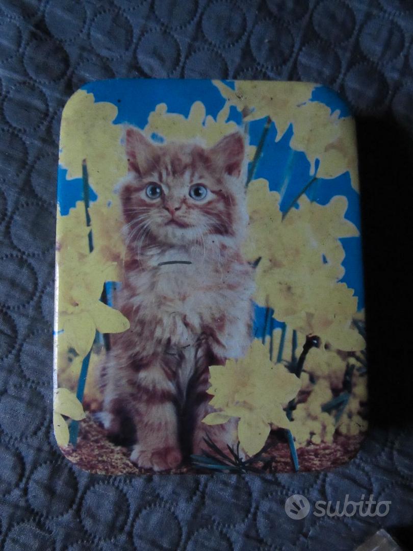 scatola latta anni Sessanta con gattino PERUGINA - Collezionismo In ...
