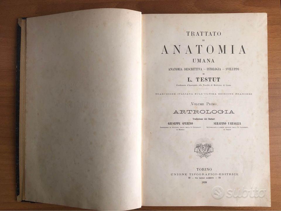Trattato di Anatomia Umana 1899 - L. Testut - Libri e Riviste In ...