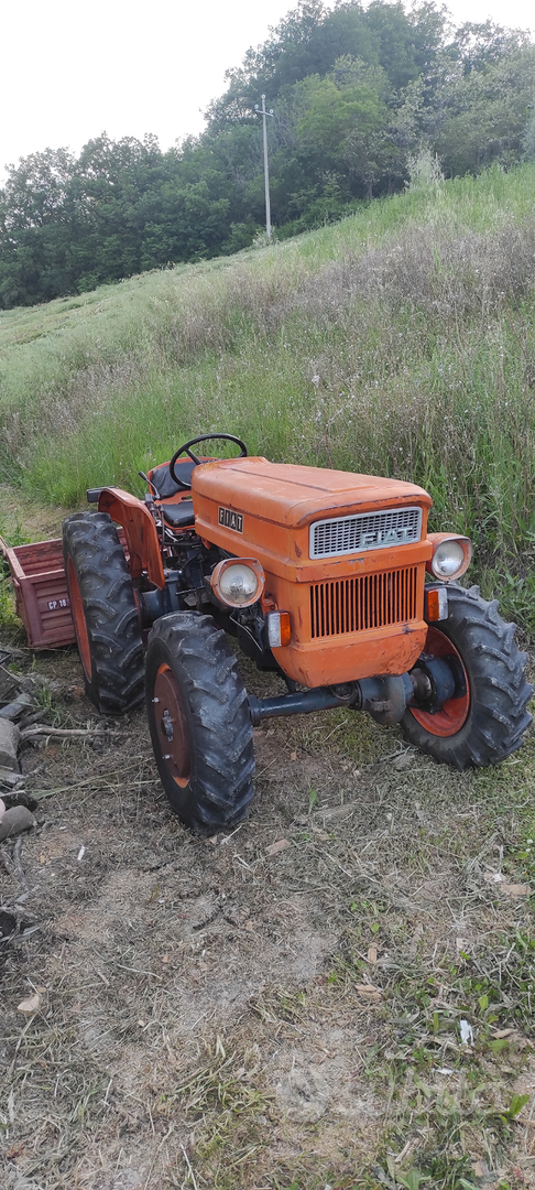 Trattore FIAT 250 DT con trincia e piattina - Veicoli commerciali In ...