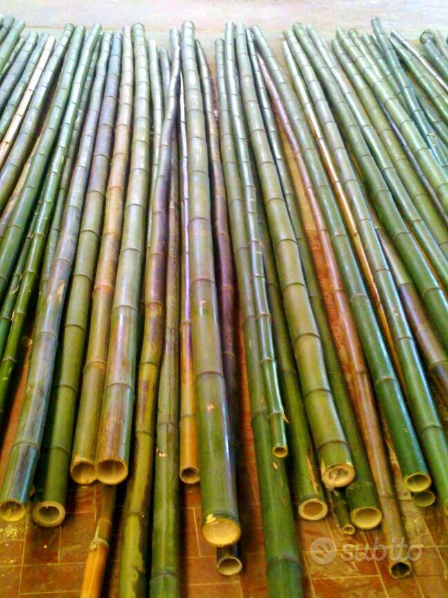 Bambu' su misura - diametri 1 -10 cm. Canne Italia - Giardino e Fai da ...