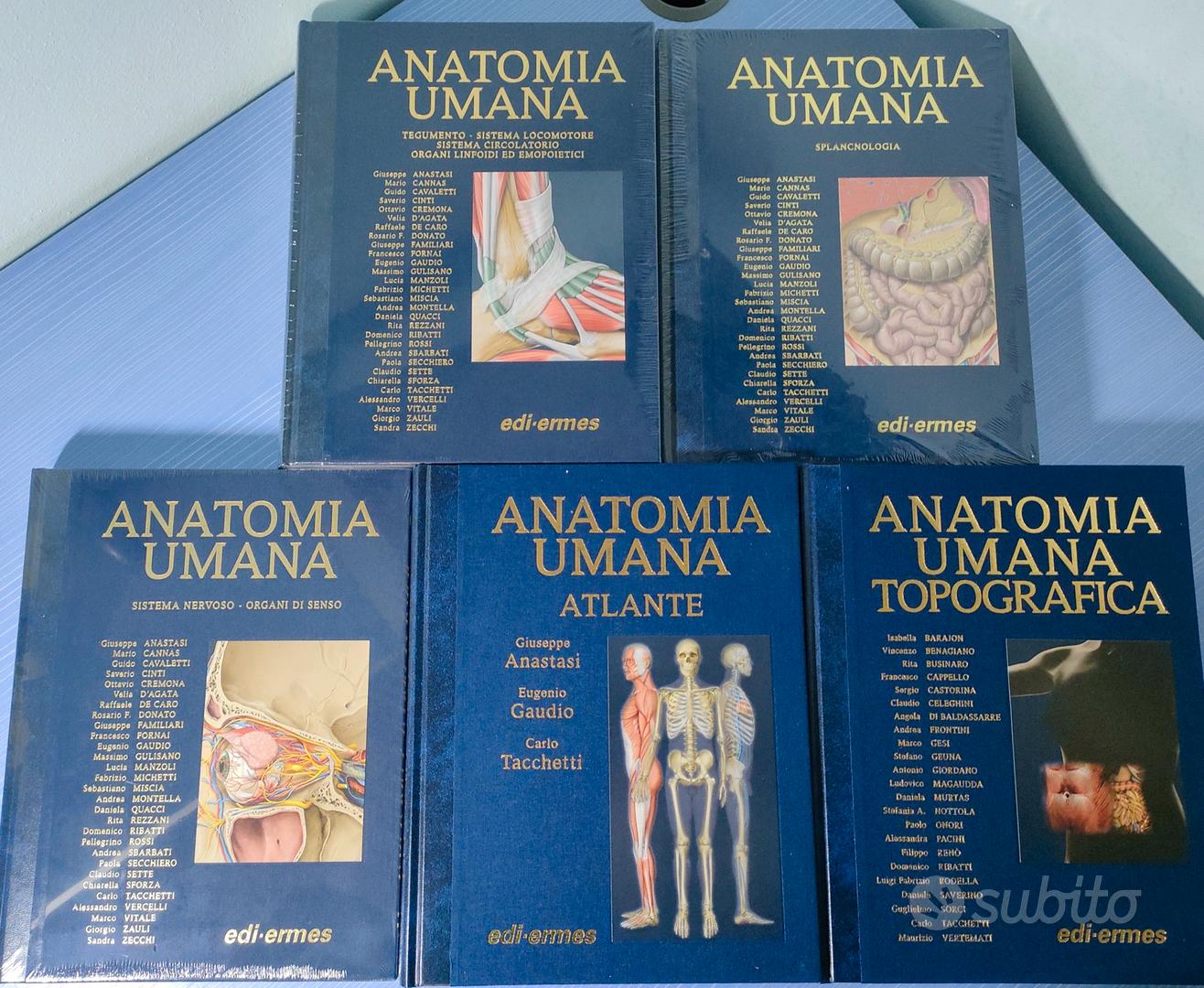 Trattato di Anatomia Umana - Anastasi - Libri e Riviste In vendita a Pisa