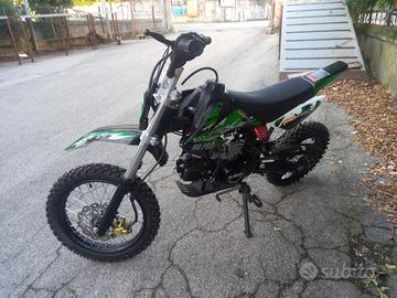 Subito - TREVISO MOTO-te 0423603807 o 3661392941 WHAtsapp - PIT BIKE 125cc PRO R. 14/12 nero ...