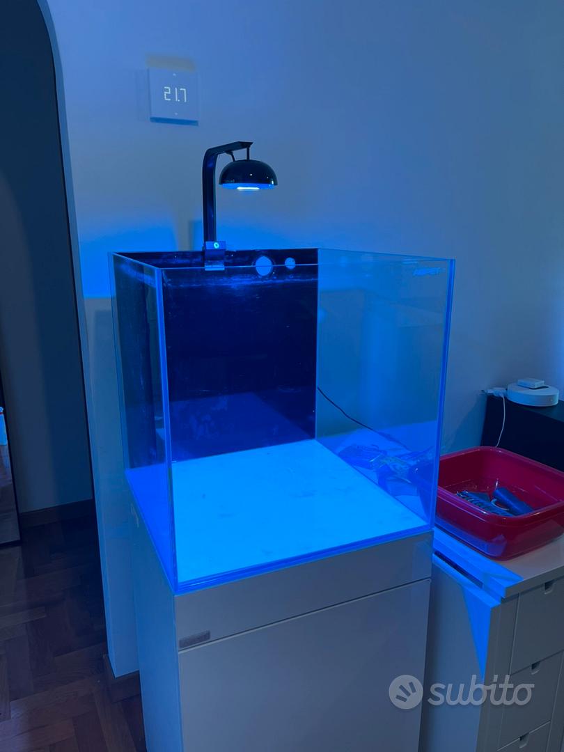 Vasca Acquario Marino/Dolce AQPET 50x50 - Animali In vendita a Roma