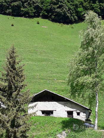 Rustico di montagna - Terreni e rustici In vendita a Trento