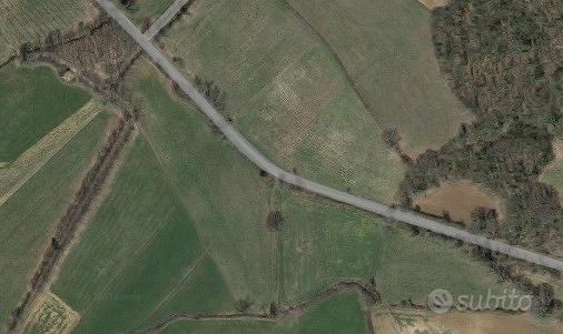 Gabellino Terreni agricoli contigui per ha 1.72.45 - Terreni e rustici ...
