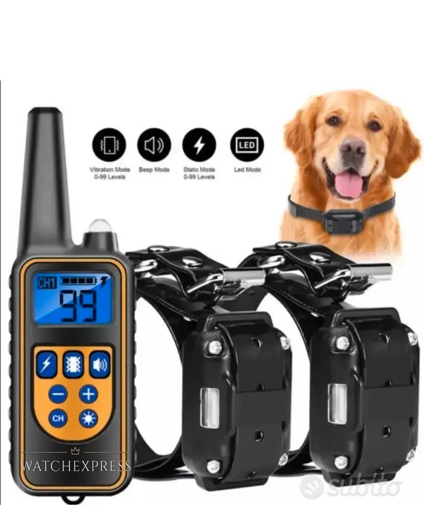 COLLARE per cane PROFESSIONALE 800M ip67 ADDESTRAM - Accessori per ...