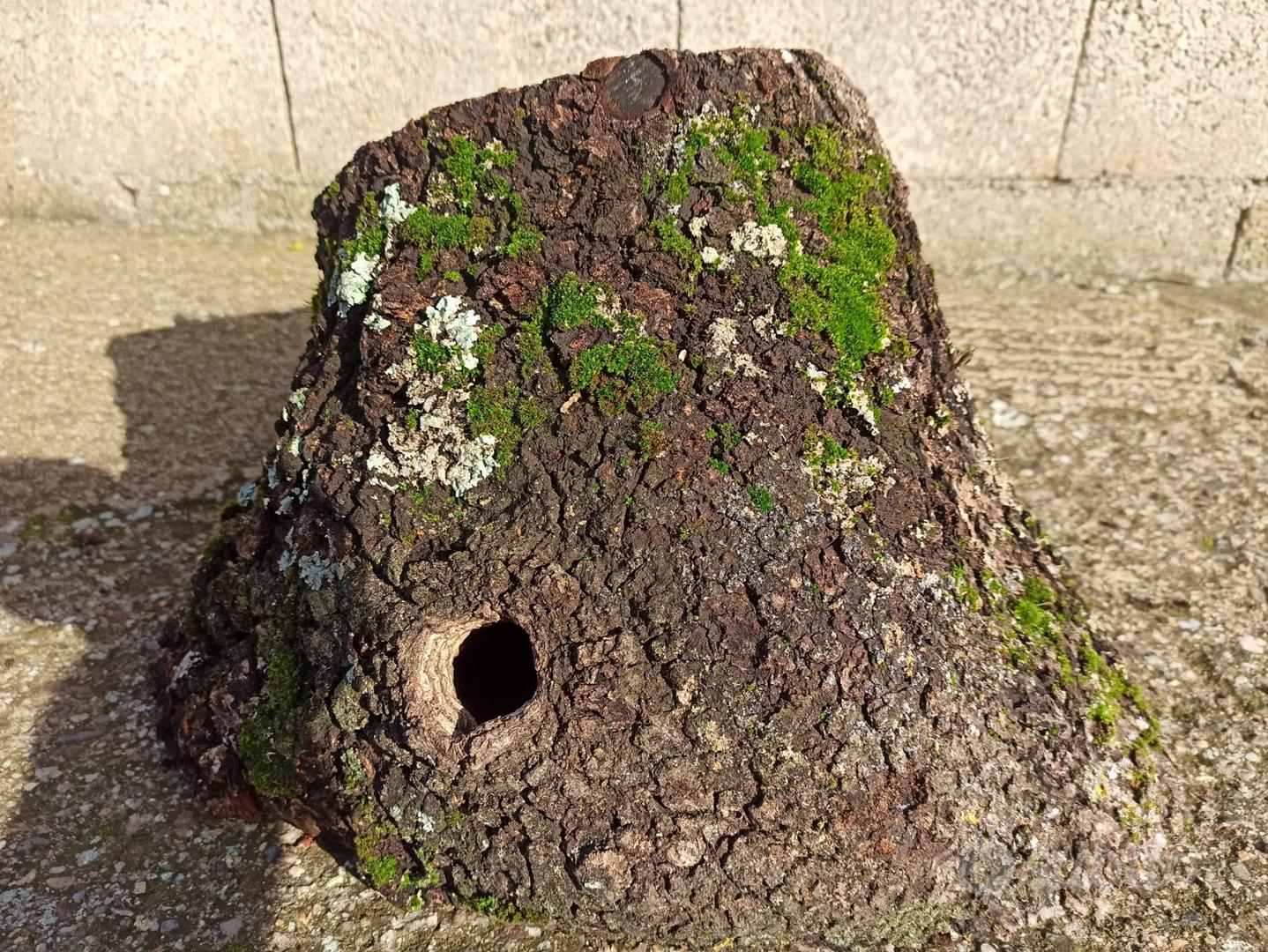 Nidi scavati nei tronchi - Giardino e Fai da te In vendita a Oristano