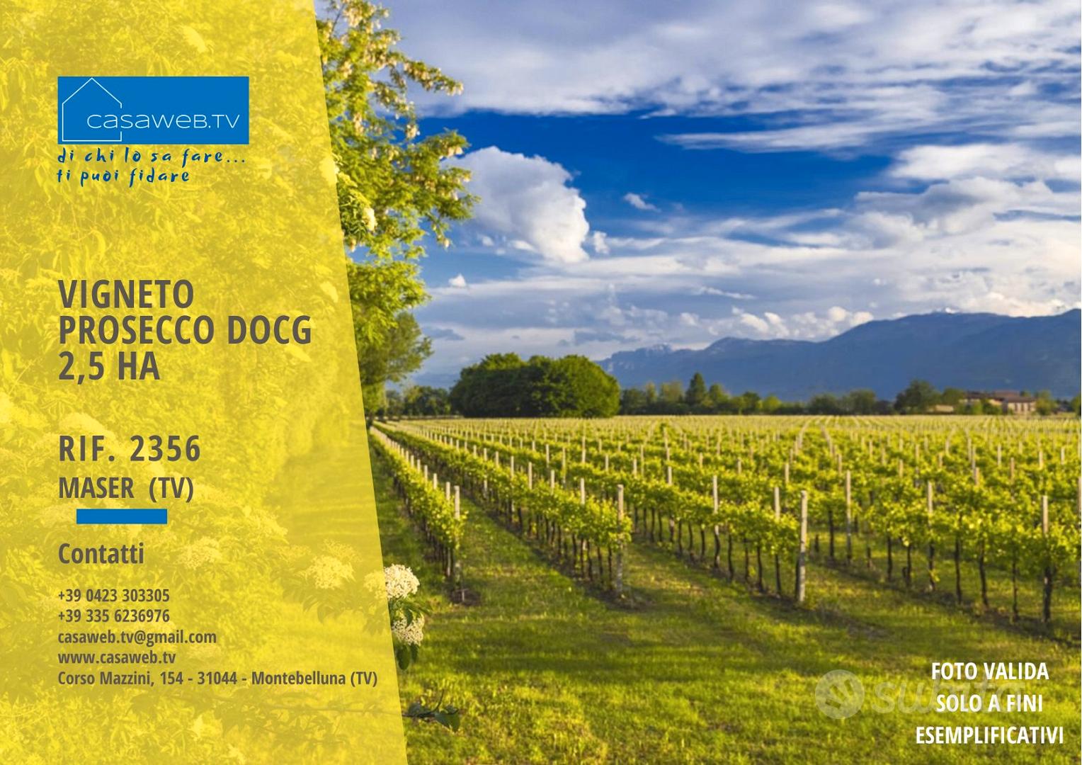 Subito - Agenzia Immobiliare CASAWEB.TV - Vigneto 2,5 Ha DOCG a Maser ...