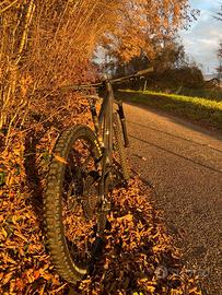 scott spark 2024 - Biciclette In vendita a Belluno