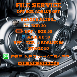 Rimappatura centralina fap dpf egr adblue - Accessori Auto In vendita a Bologna