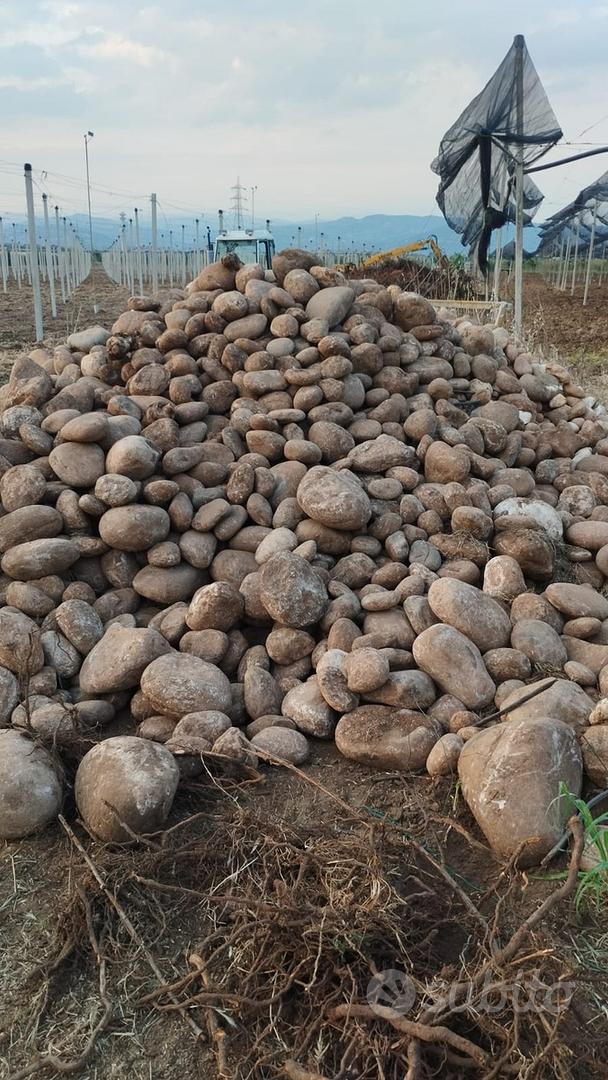Sassi - Giardino e Fai da te In vendita a Verona