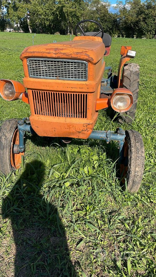 Trattore Fiat 250 Serie Oro - Vintage da sistemare - Veicoli ...