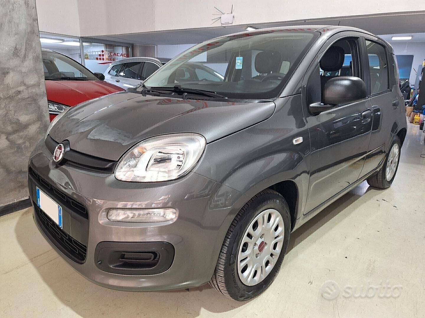 Subito - CACACE AUTOMOBILI GROUP - Fiat Panda 1.0 FireFly S&S Hybrid ...