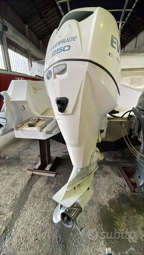 Evinrude 250 e tec - Nautica In vendita a Genova