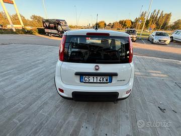 Subito - Blockboxautoparts Ravenna - Fiat Panda 1.0 S&S Hybrid - Auto ...