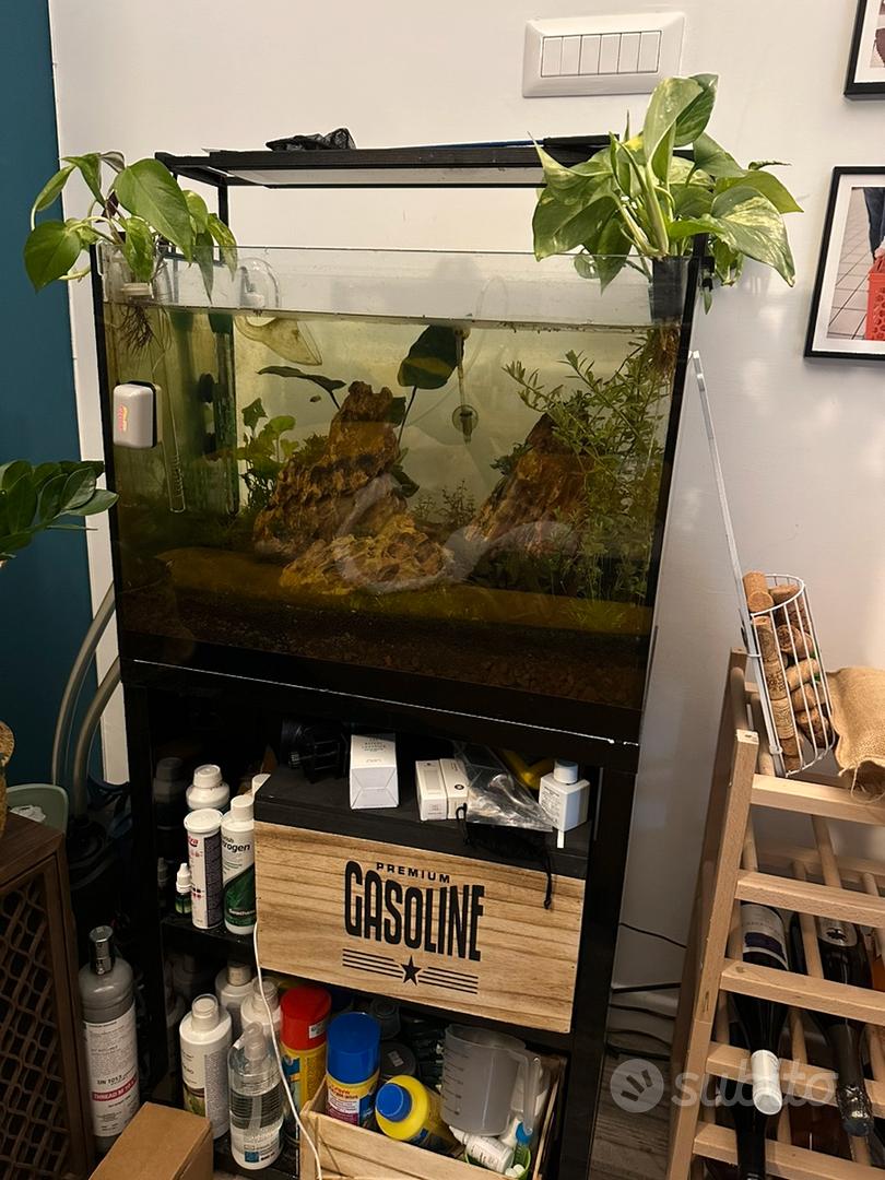 Vasca acquario piu mobile - Accessori per animali In vendita a Roma