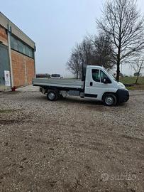 Subito - DUEESSE Srls - Peugeot BOXER Cassone Fisso 2.2 120 CV ...
