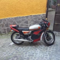 Benelli 2C 250 usata in vendita - Subito.it