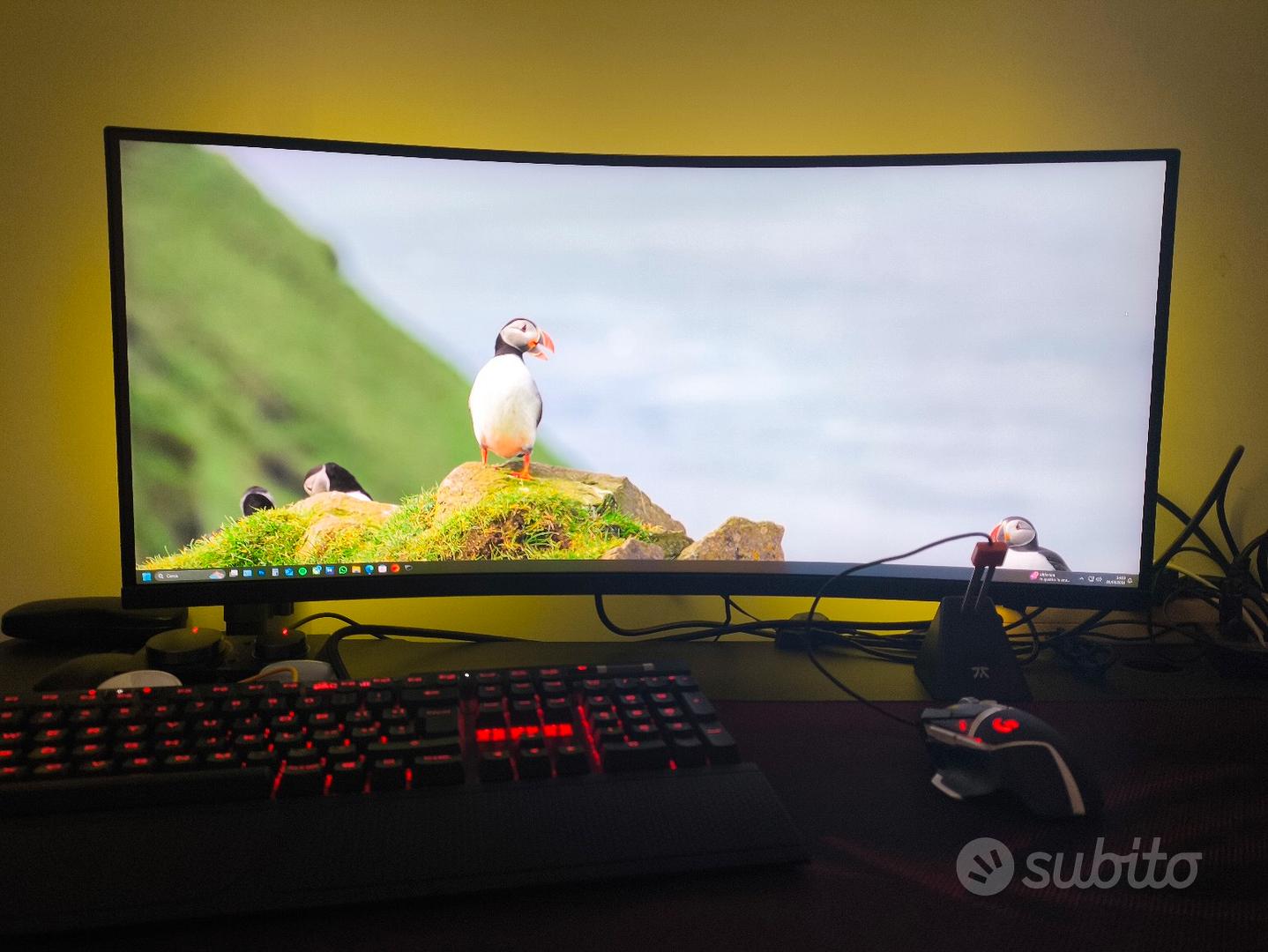 Monitor MSI Optix MAG342CQR 144hz Ultrawide - Informatica In vendita a Benevento