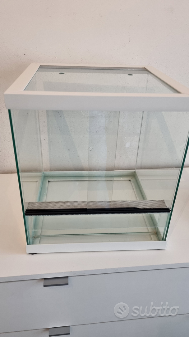 Terrario per piccoli roditori o rettili - Animali In vendita a Bolzano