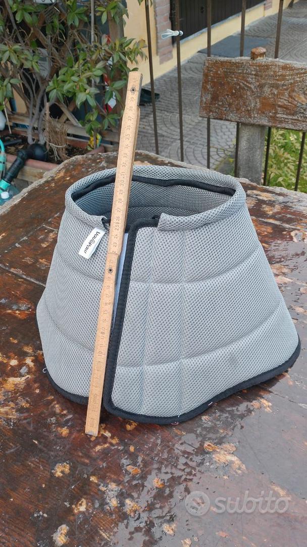 Collare di Elisabetta - Accessori per animali In vendita a Torino