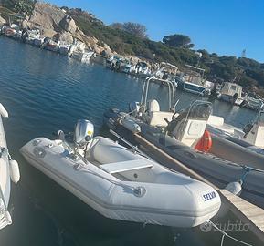 Tender gommone e motore Honda tutto incluso - Nautica In vendita a Torino